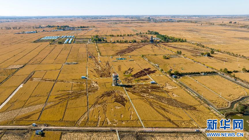 辽宁沈阳：“丰景”成“风景”-新华网