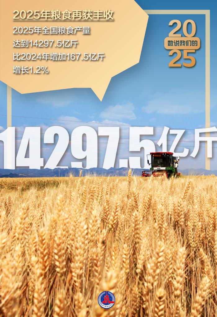 看！大国“三农”年度成绩单-新华网